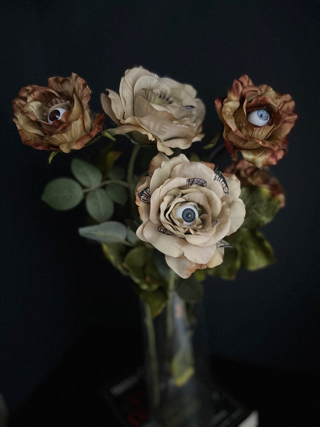 6 Long Stem Seeing Eye Roses Botany Oddities Curiousities Eyeball ...