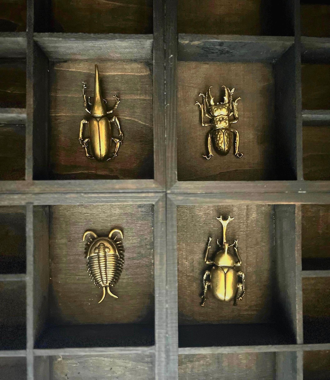 Vintage Brass Beetle/trilobite Shelf Decor | Entomology | Oddities ...