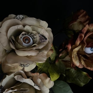 6 Long Stem Seeing Eye Roses Botany Oddities Curiousities Eyeball ...