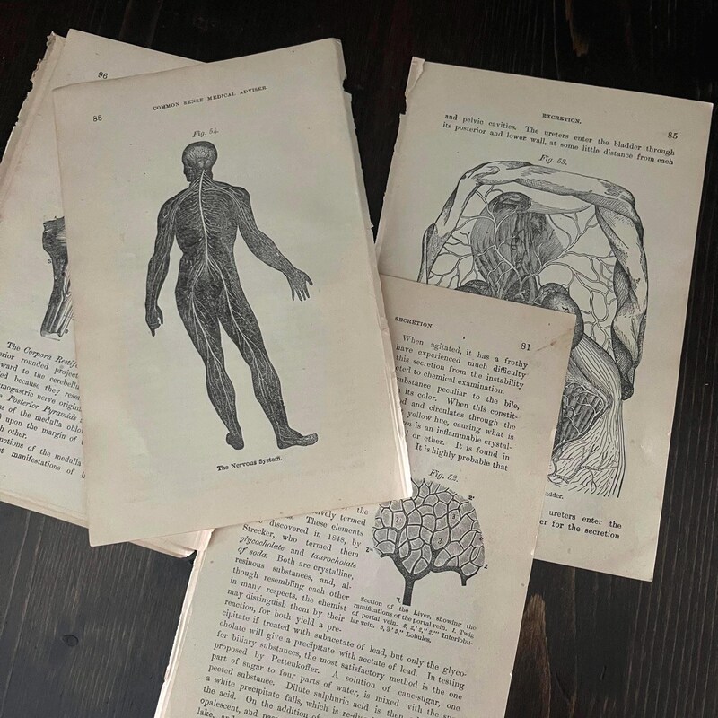 Vintage Medical Book - Etsy