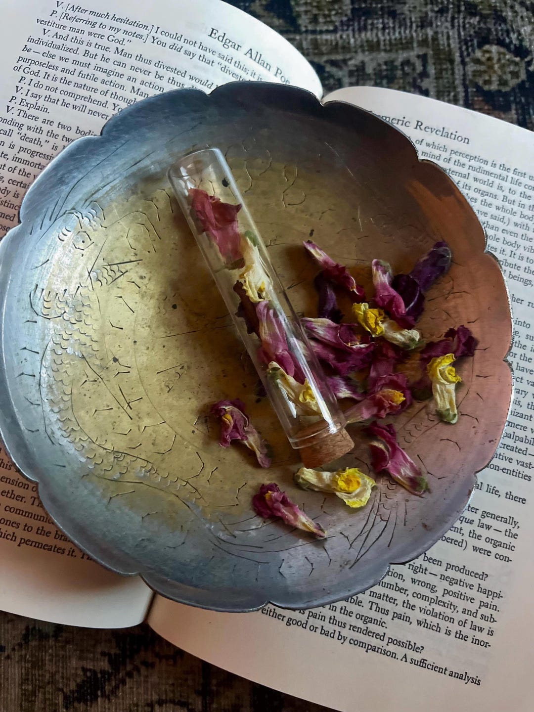 Dried Snapdragon Flower Vial | Display | Curio | Botany | Bontanicals ...