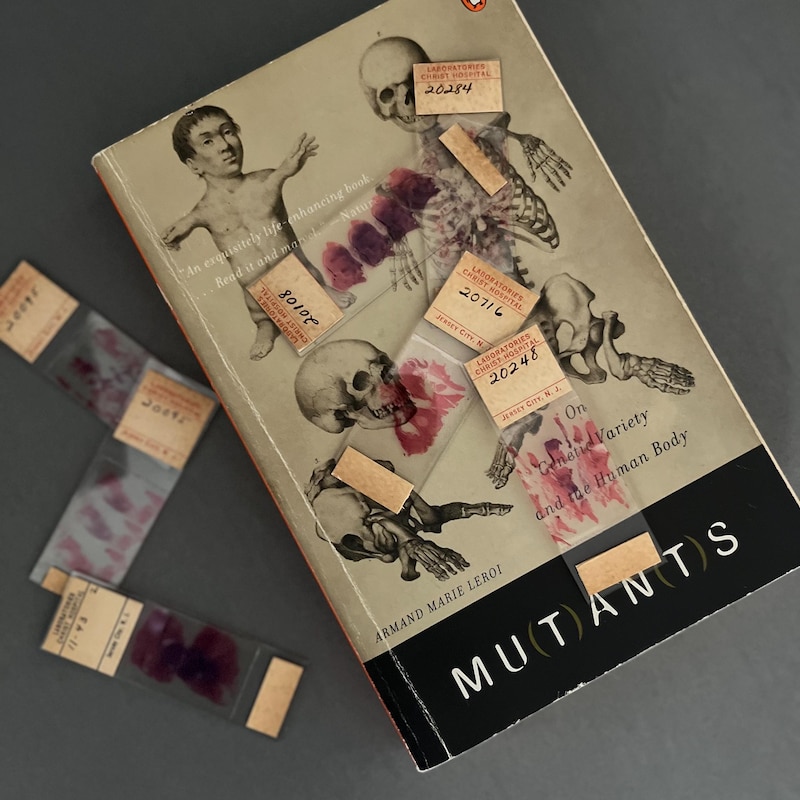 Microscope Slide Decor - Etsy