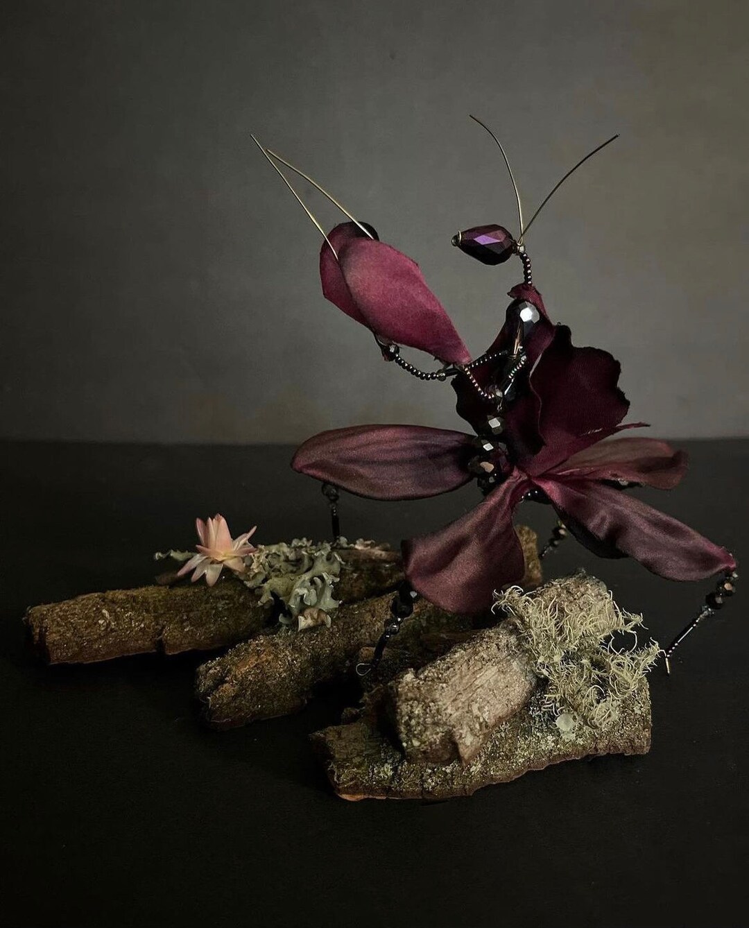 Purple Beaded Orchid Mantis Insect Glass Specimen Oddity Curiosity ...