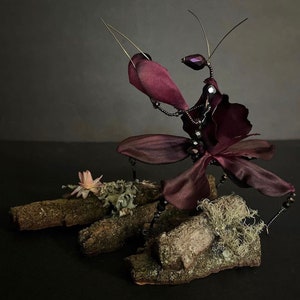 Purple Beaded Orchid Mantis Insect Glass Specimen Oddity Curiosity ...