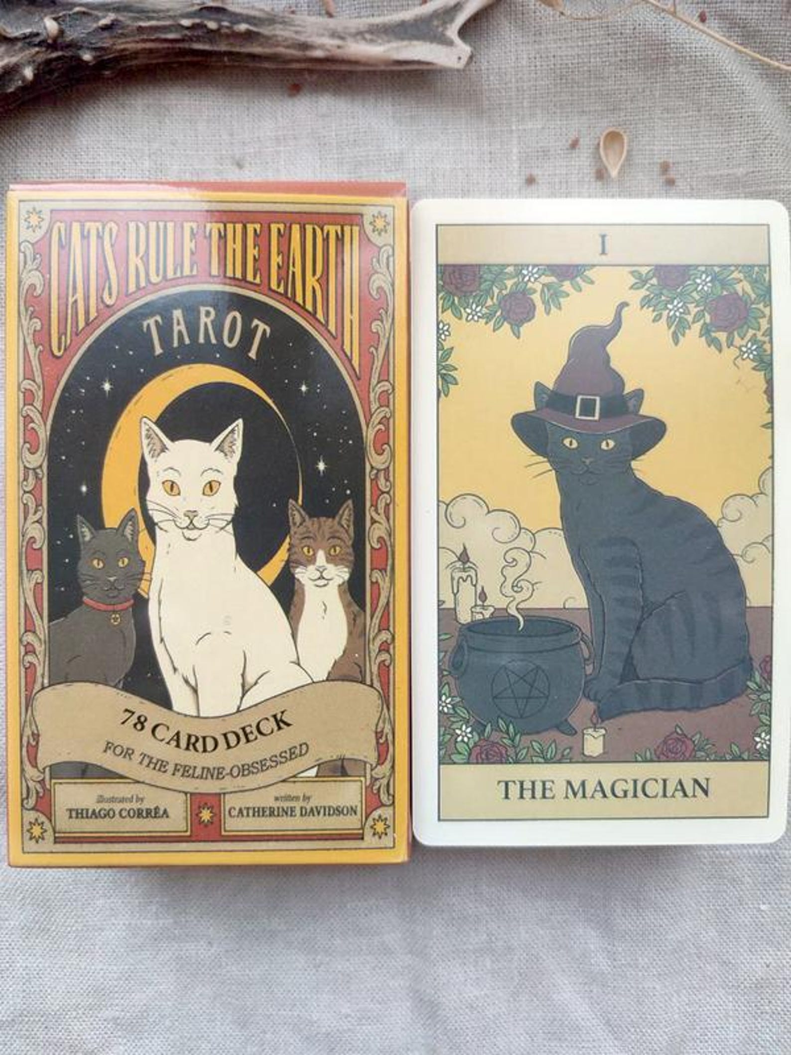 Cats Rule the Earth Tarot 78 Card Deck - Etsy