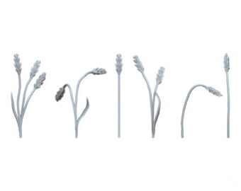 Farm Crops Dnd - Etsy