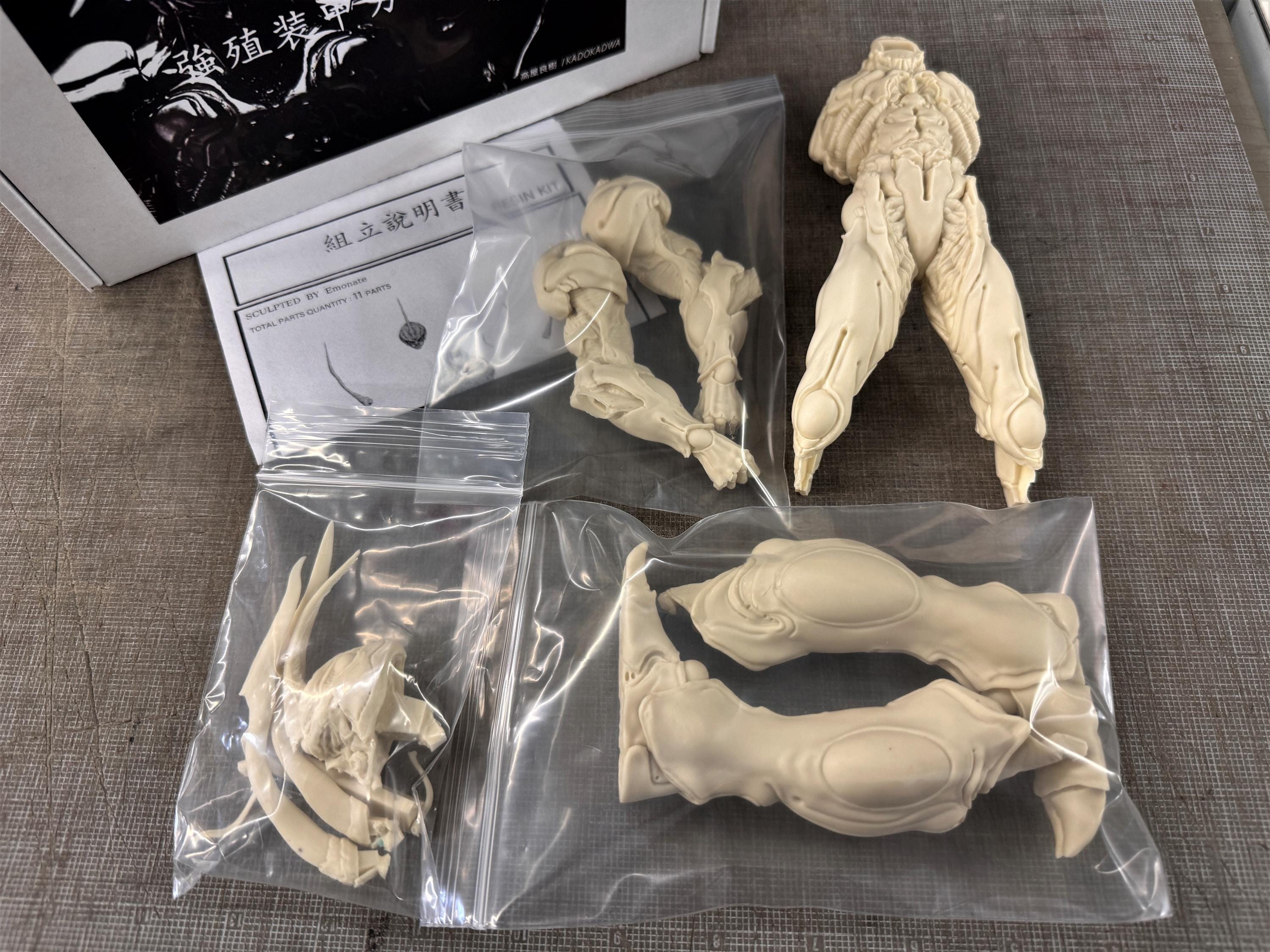 Guyver 1 Resin Model Kit Wonder Festival 2024 LTD 強殖装甲ガイバー Kadokawa - Etsy