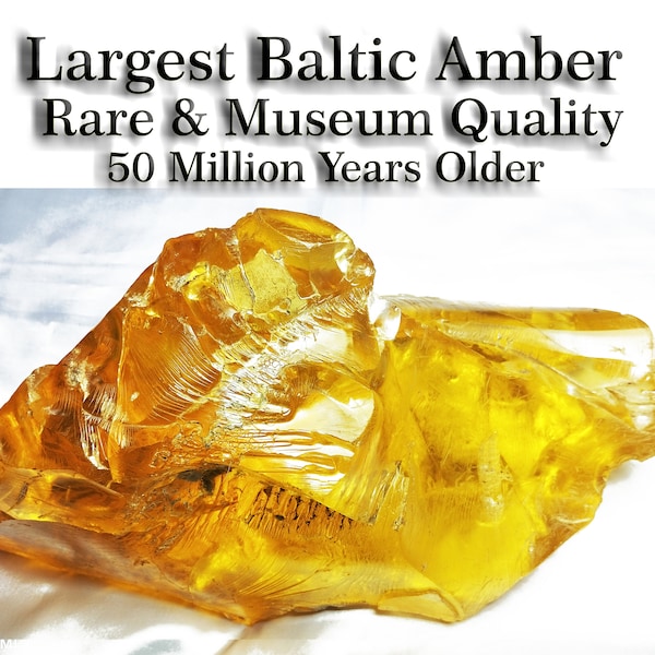 Caribbean Amber - Etsy