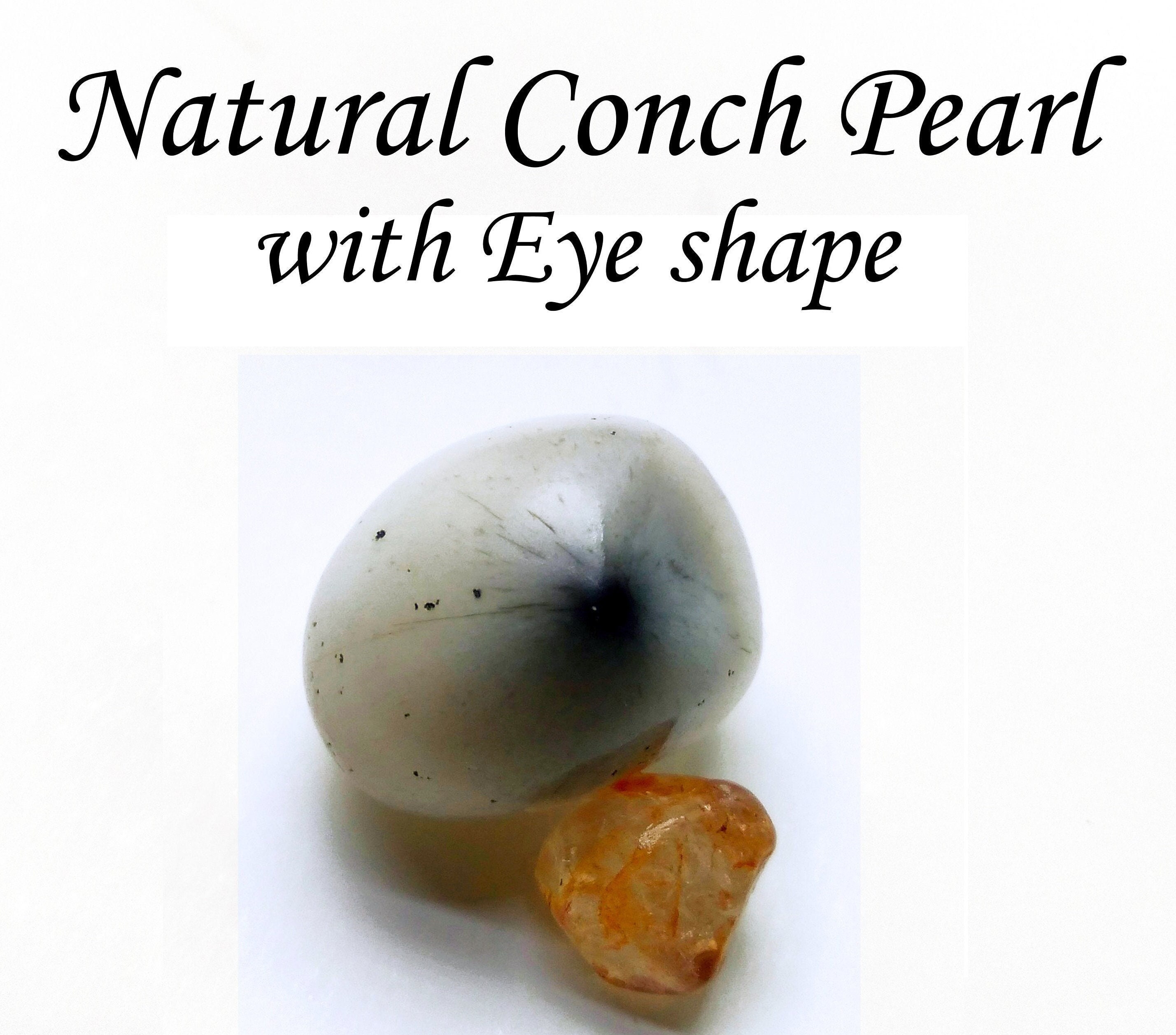 Natural Conch Pearl With Eye Shape 18.5ct - Etsy