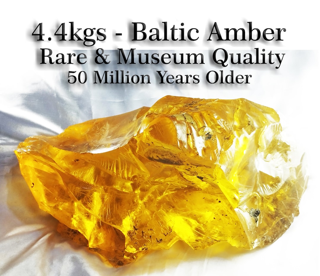 4.4kgs - Baltic Amber - 9.7(lb) Rare & Museum Quality - 50 Million ...