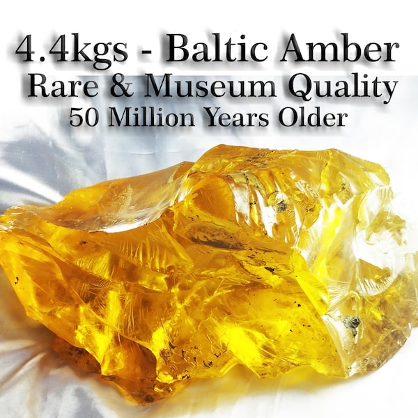 Caribbean Amber - Etsy