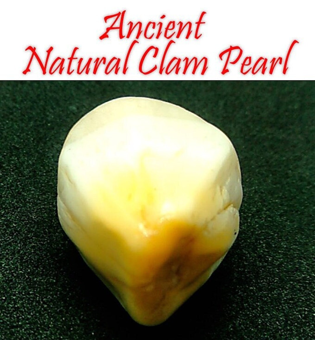 Ancient Natural Clam Pearl - Large Rare - 84.5 Carat- Dual Tone ...