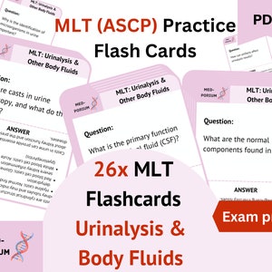 MLT (ASCP) Exam Flashcards: Urinalysis & Body Fluids - Etsy