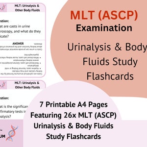 MLT (ASCP) Exam Flashcards: Urinalysis & Body Fluids - Etsy