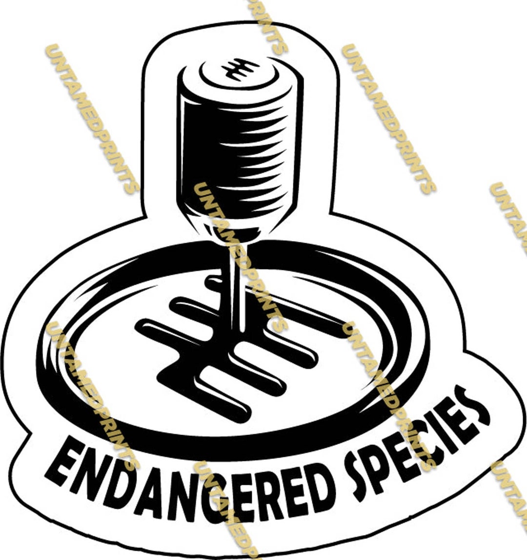 Stick Shift - Endangered Species - Etsy