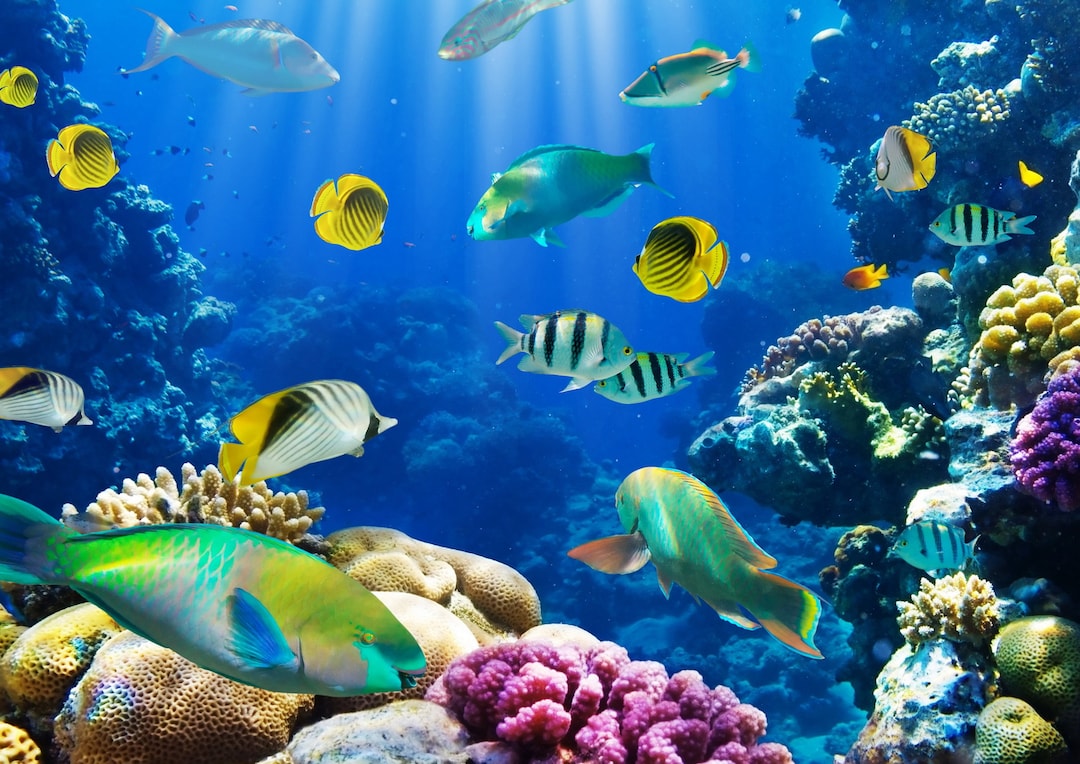 Ocean Deep Sea Fish Poster A5, A4, A3, A2, A1, A0 - Etsy