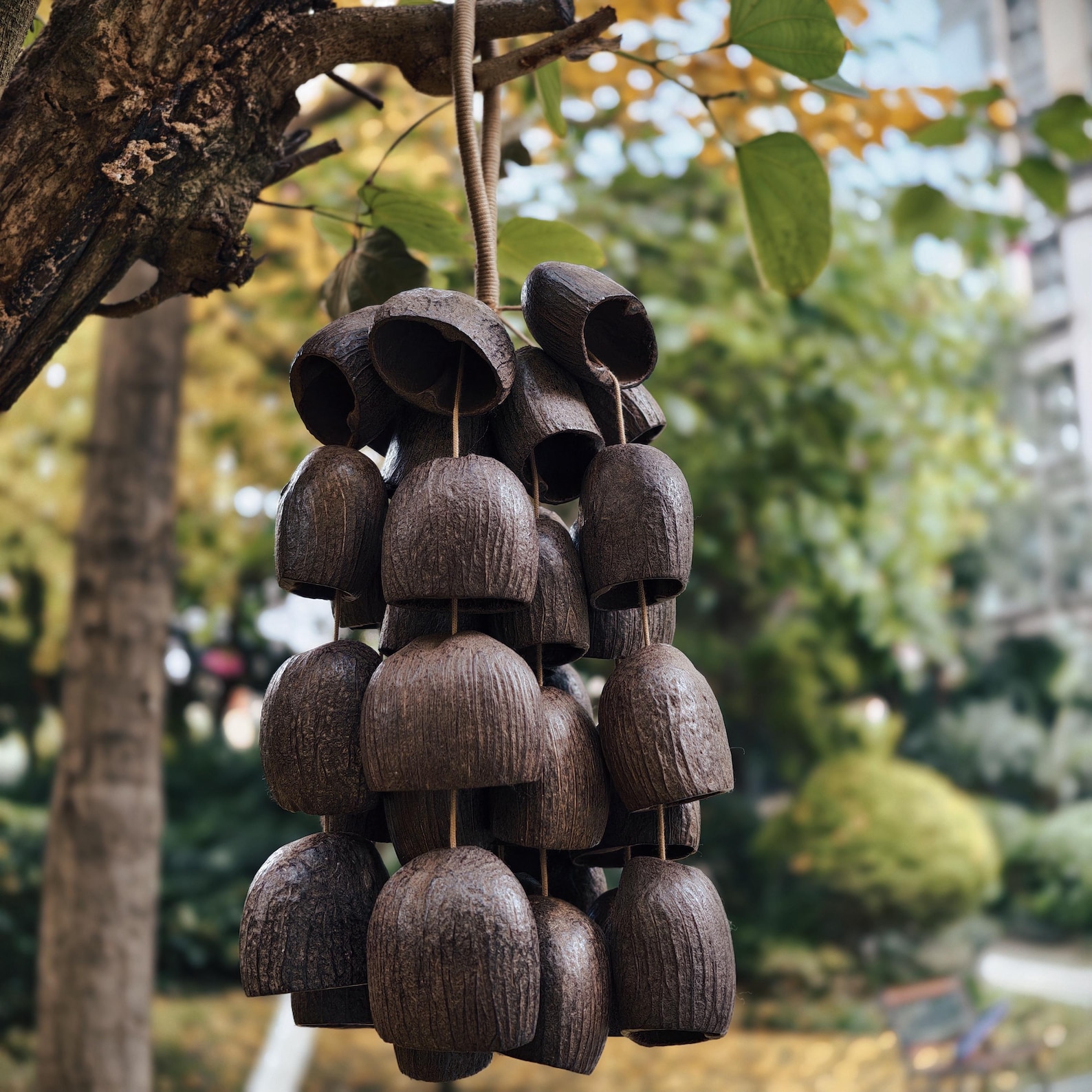 Handmade Fruit Shell Rattle Natural Nut Shell Shaker Meditation Sound ...
