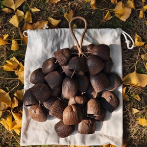 Handmade Fruit Shell Rattle Natural Nut Shell Shaker Meditation Sound ...