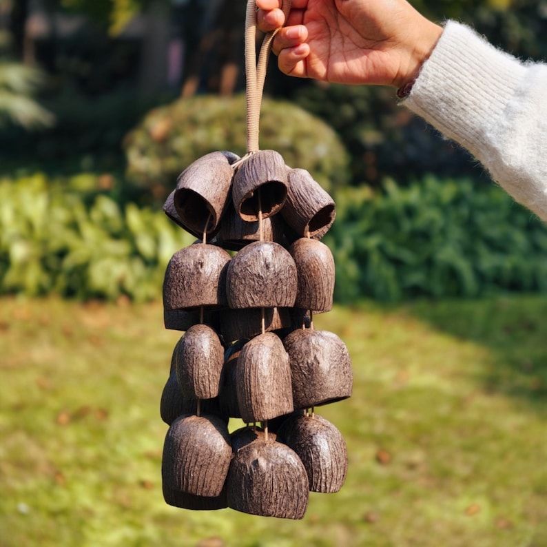 Handmade Fruit Shell Rattle Natural Nut Shell Shaker Meditation Sound ...