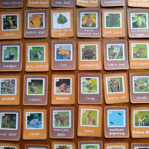 Autumn Nature Hunt Flashcards Ring Bound - Etsy UK