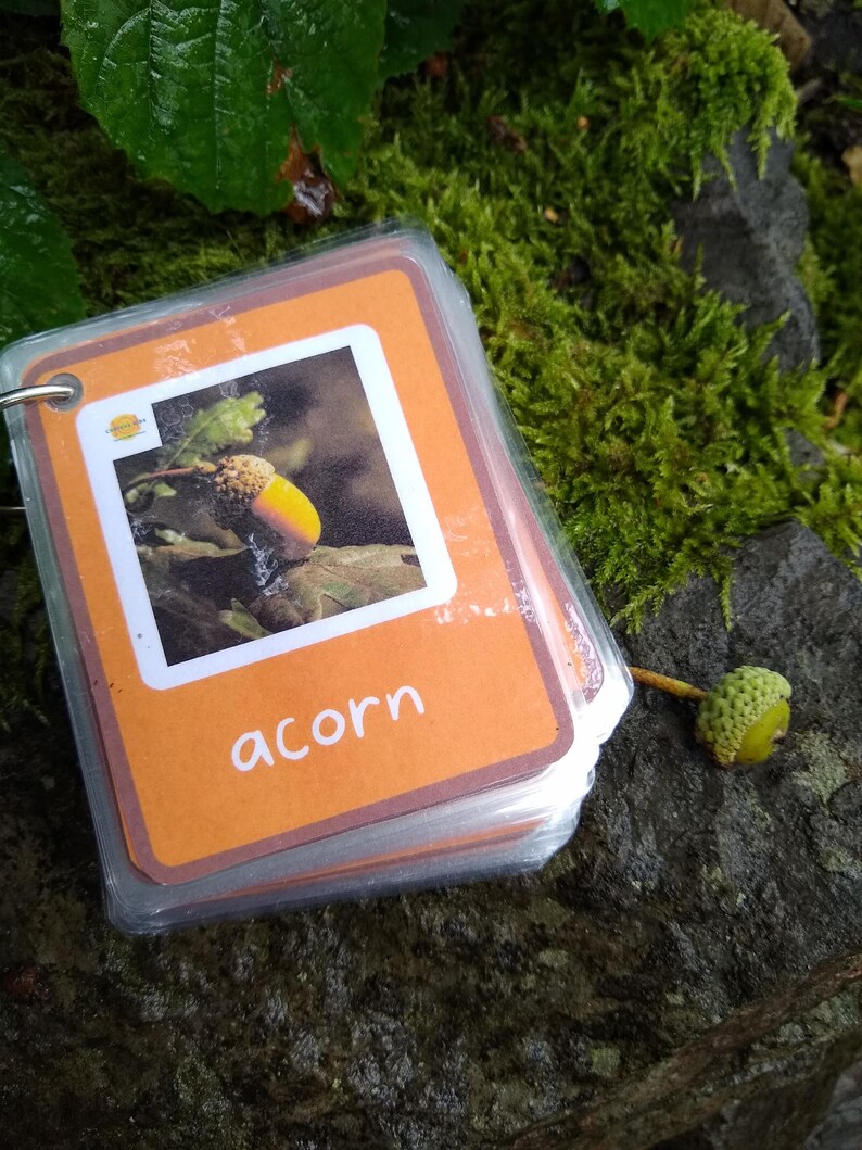 Autumn Nature Hunt Flashcards Ring Bound - Etsy UK