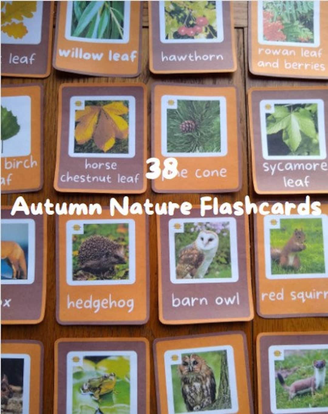 Autumn Nature Hunt Flashcards Ring Bound - Etsy