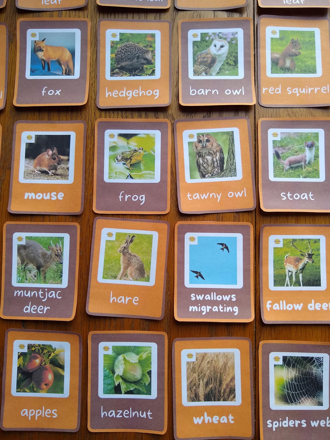 Autumn Nature Hunt Flashcards Ring Bound - Etsy UK