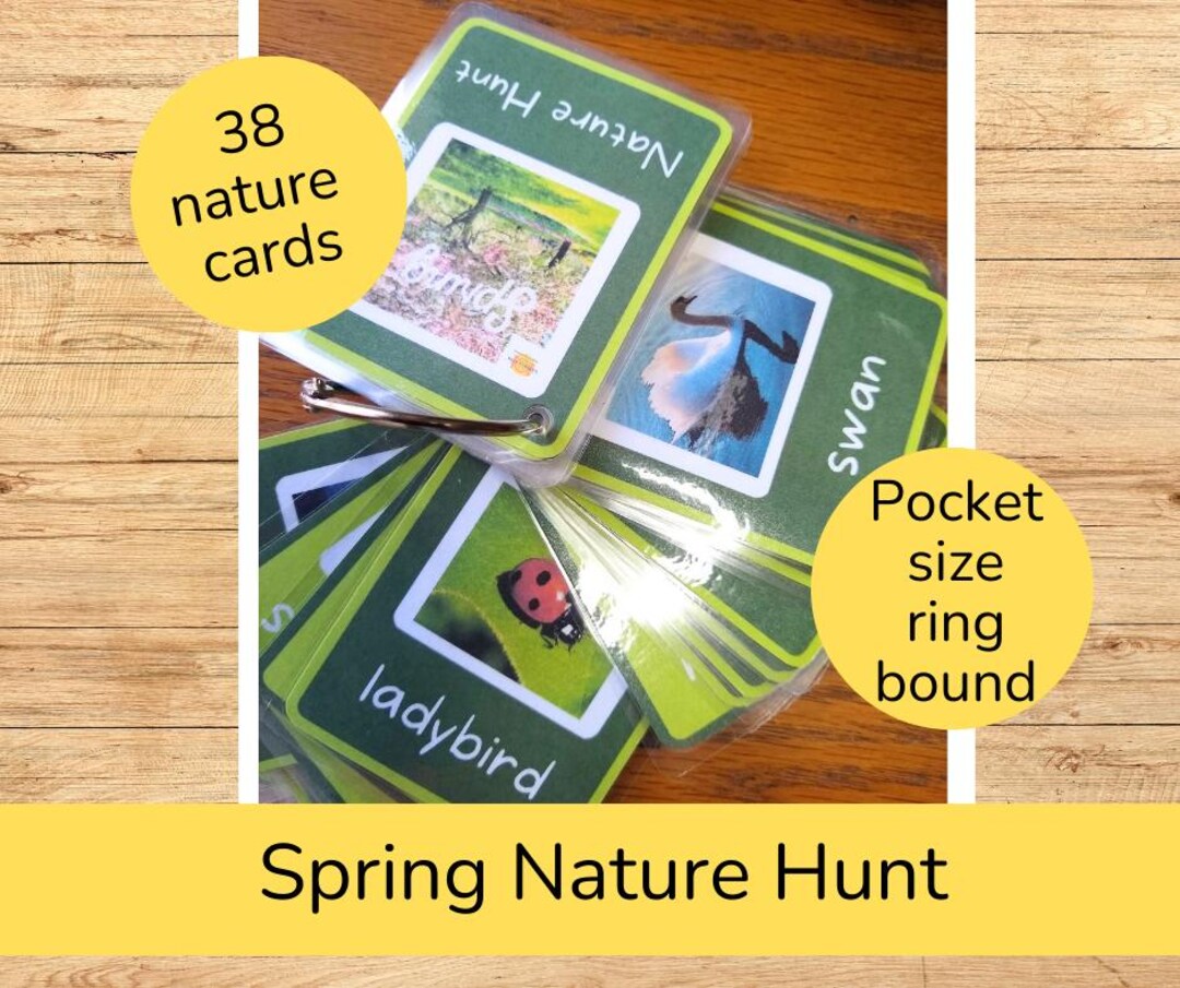 Spring Nature Hunt Ring Bound Flashcards - Outdoor Learning - Identify ...