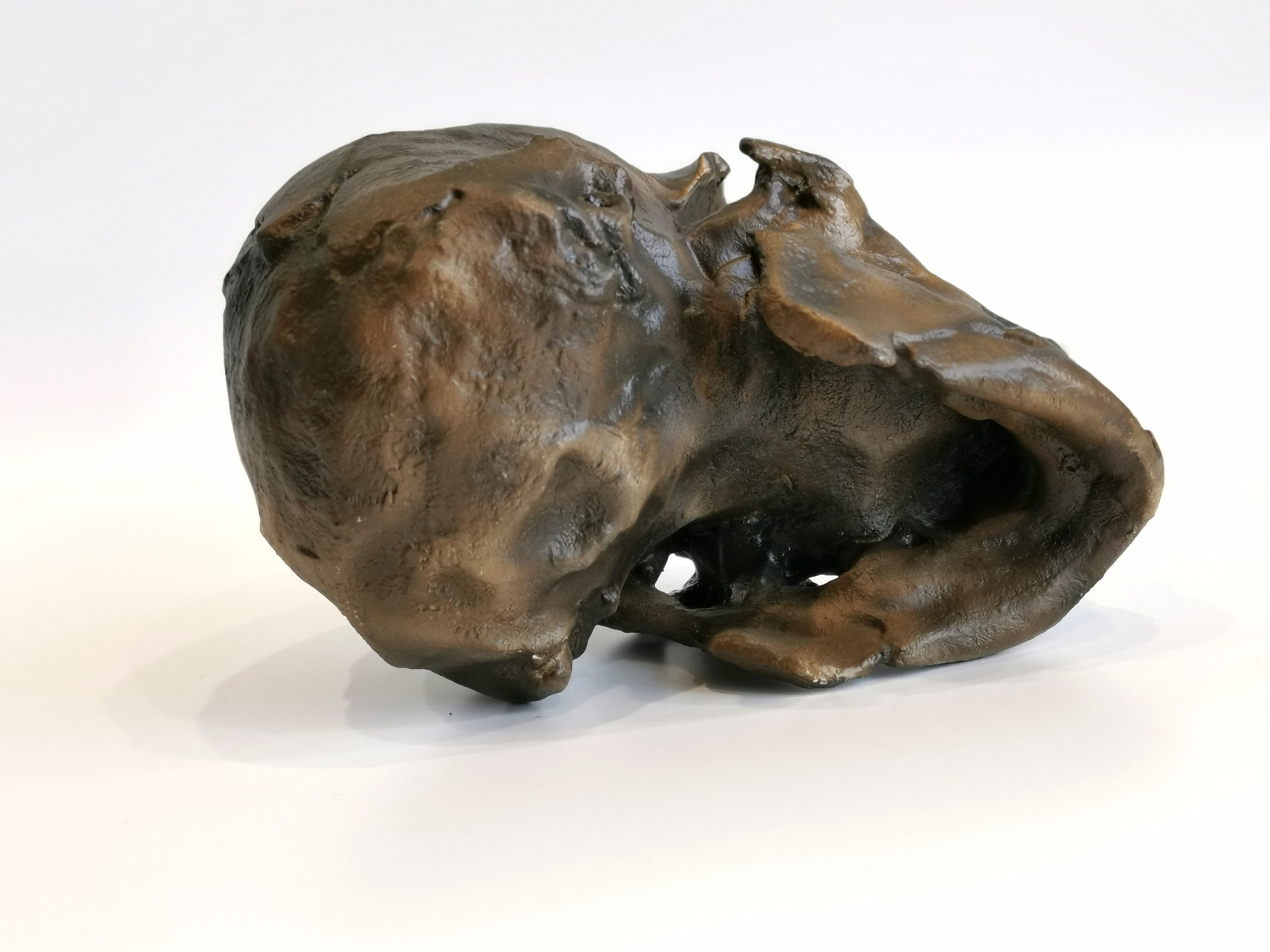 Homo Naledi skull replica from original Full-size reconstruction ...
