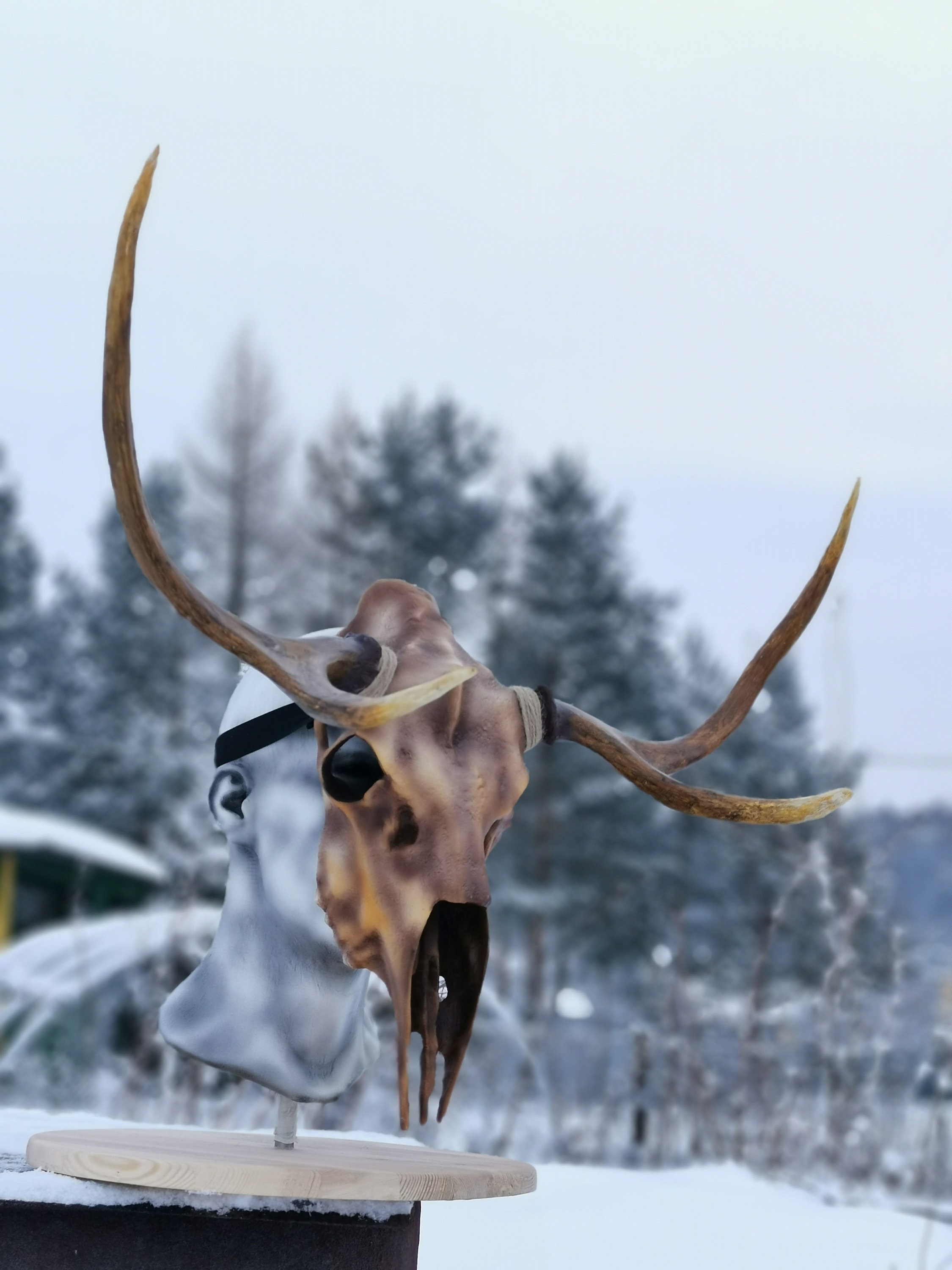 DEER SKULL MASK With Big Antlers Deer Skull Deer Mask - Etsy