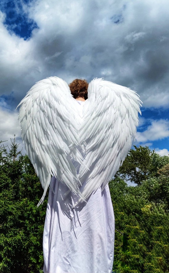 Angel Wings Anime Side View