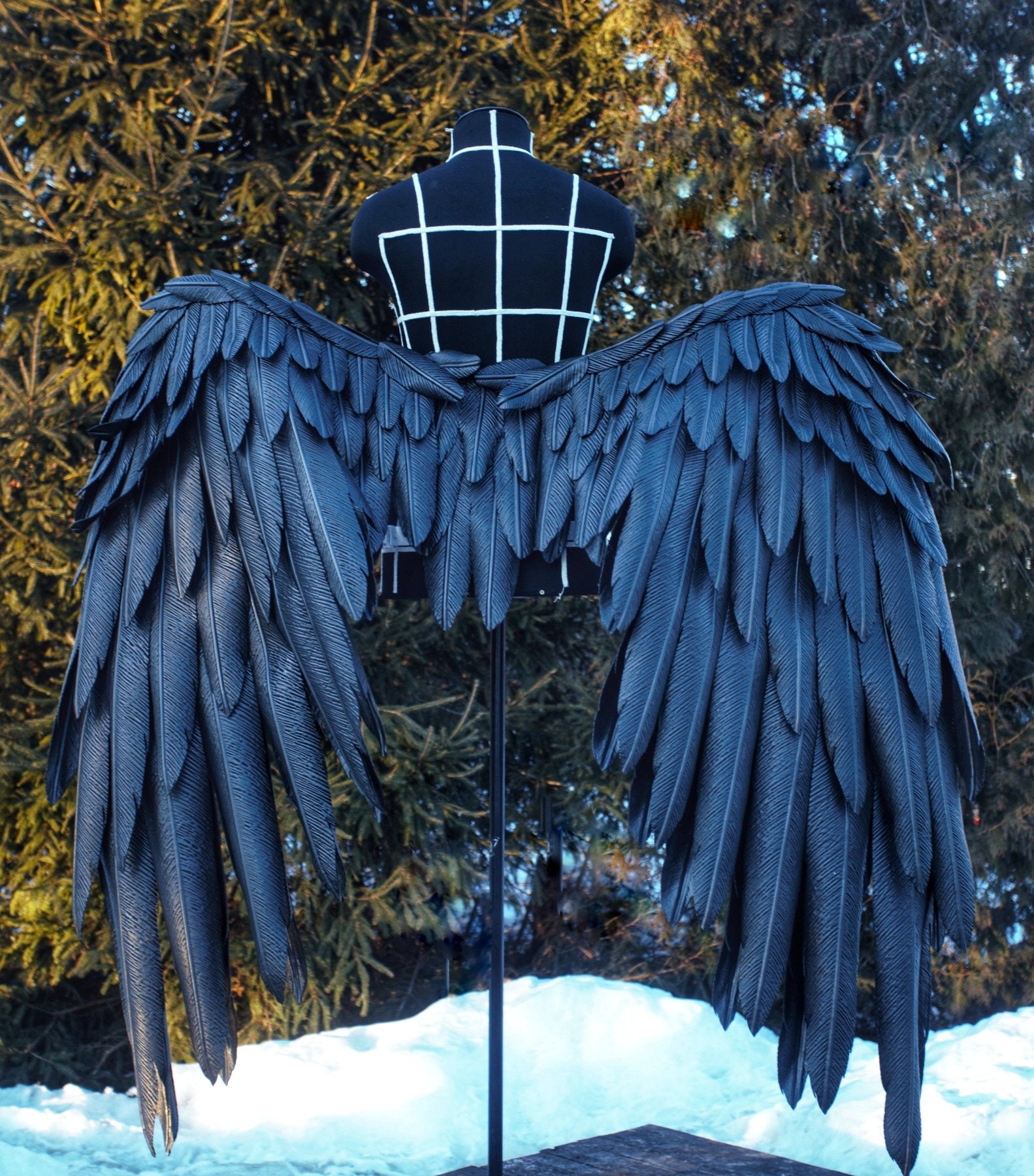 Huge Black Wings