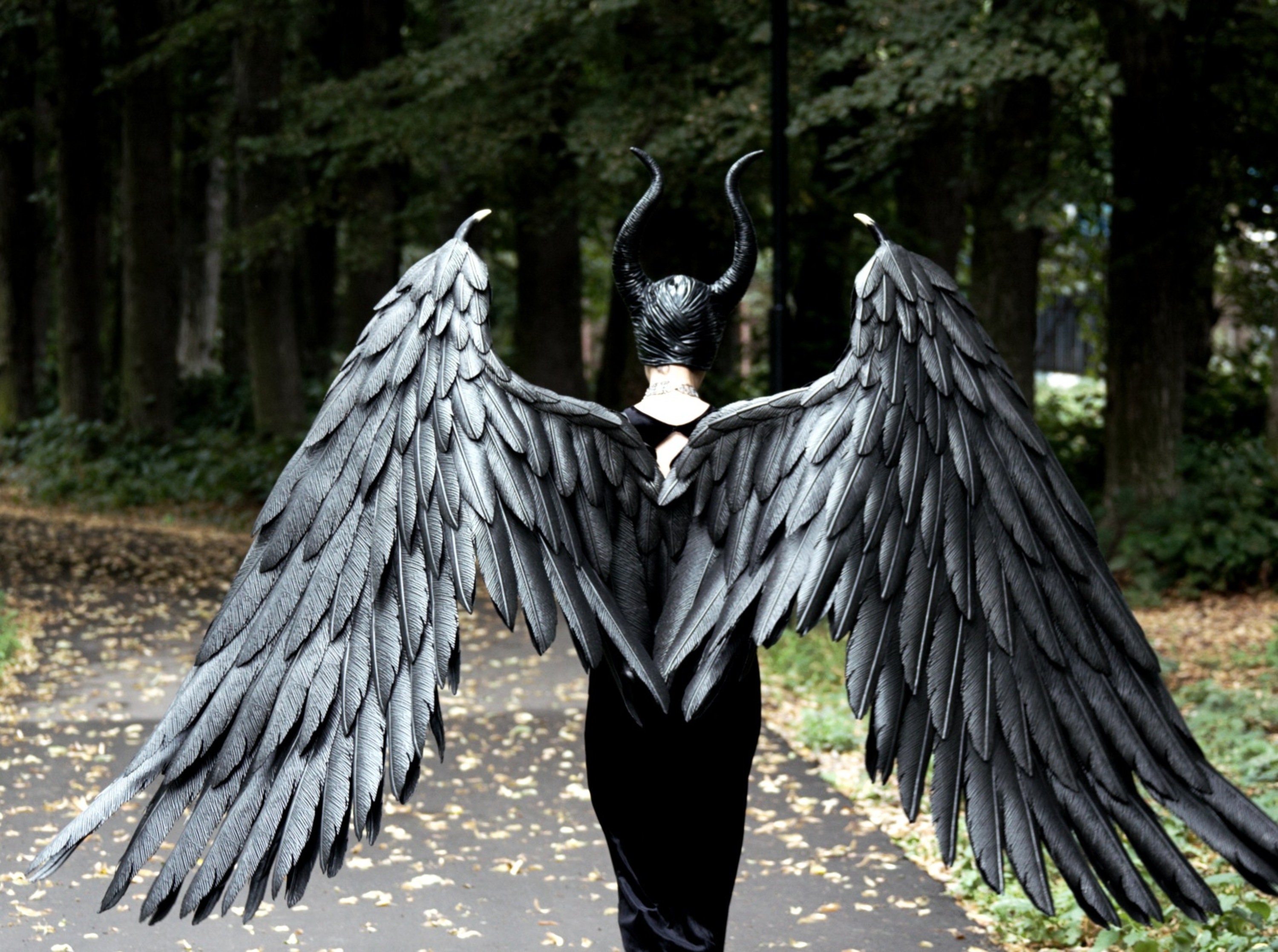 Maleficent Cosplay Wings