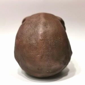 Homo Erectus Pekinensis Skull Replica Peking Man - Etsy