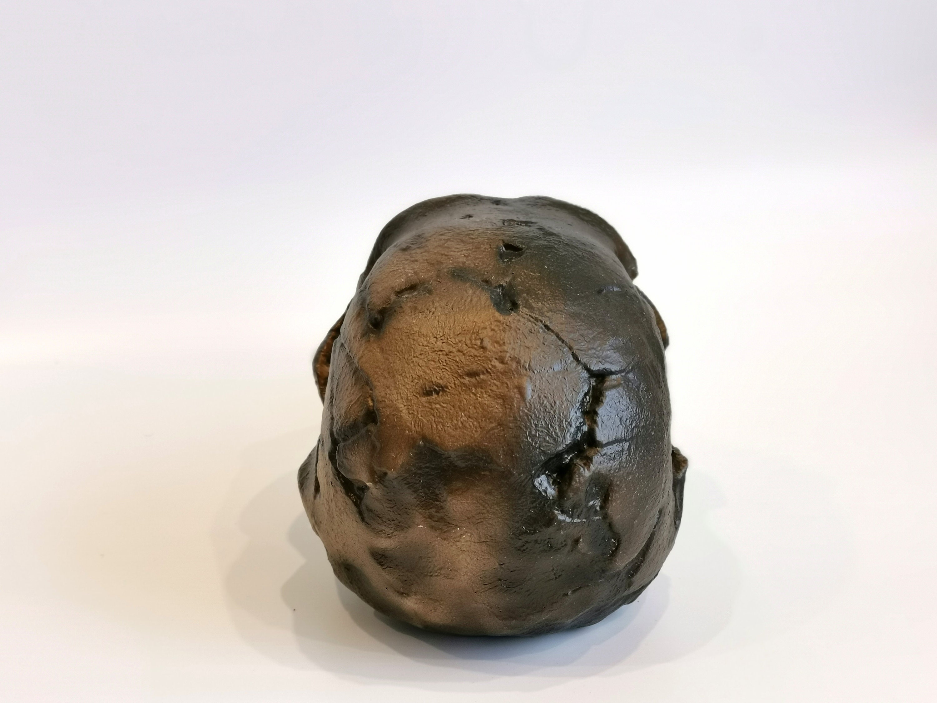 Homo Naledi skull replica from original Full-size reconstruction ...