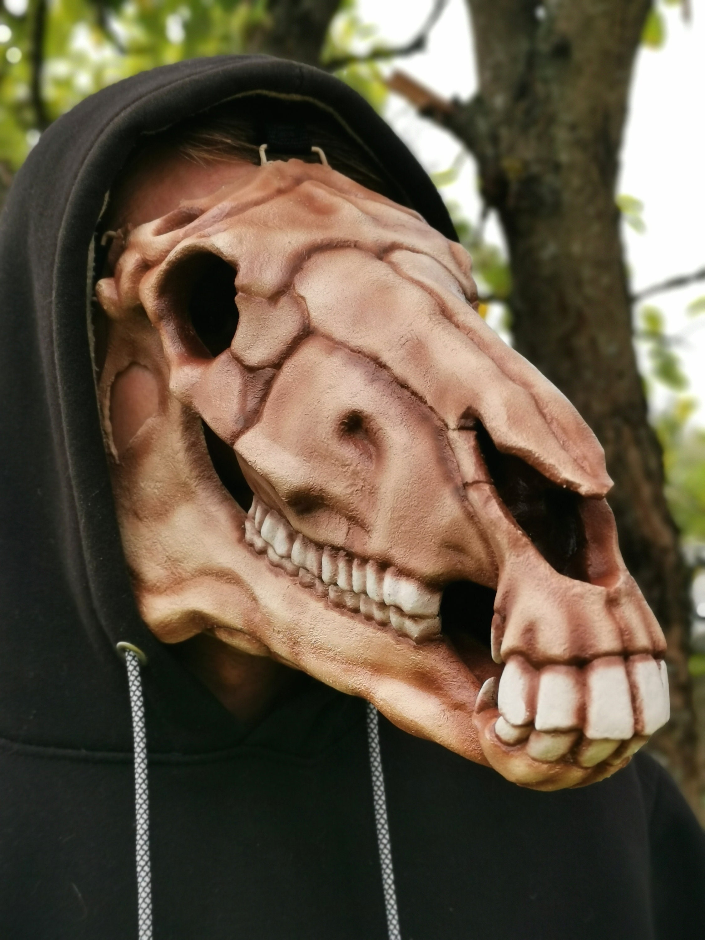 Horse Skull Mask With Jaw Horse Skull Mask Mari Lwyd - Etsy Canada