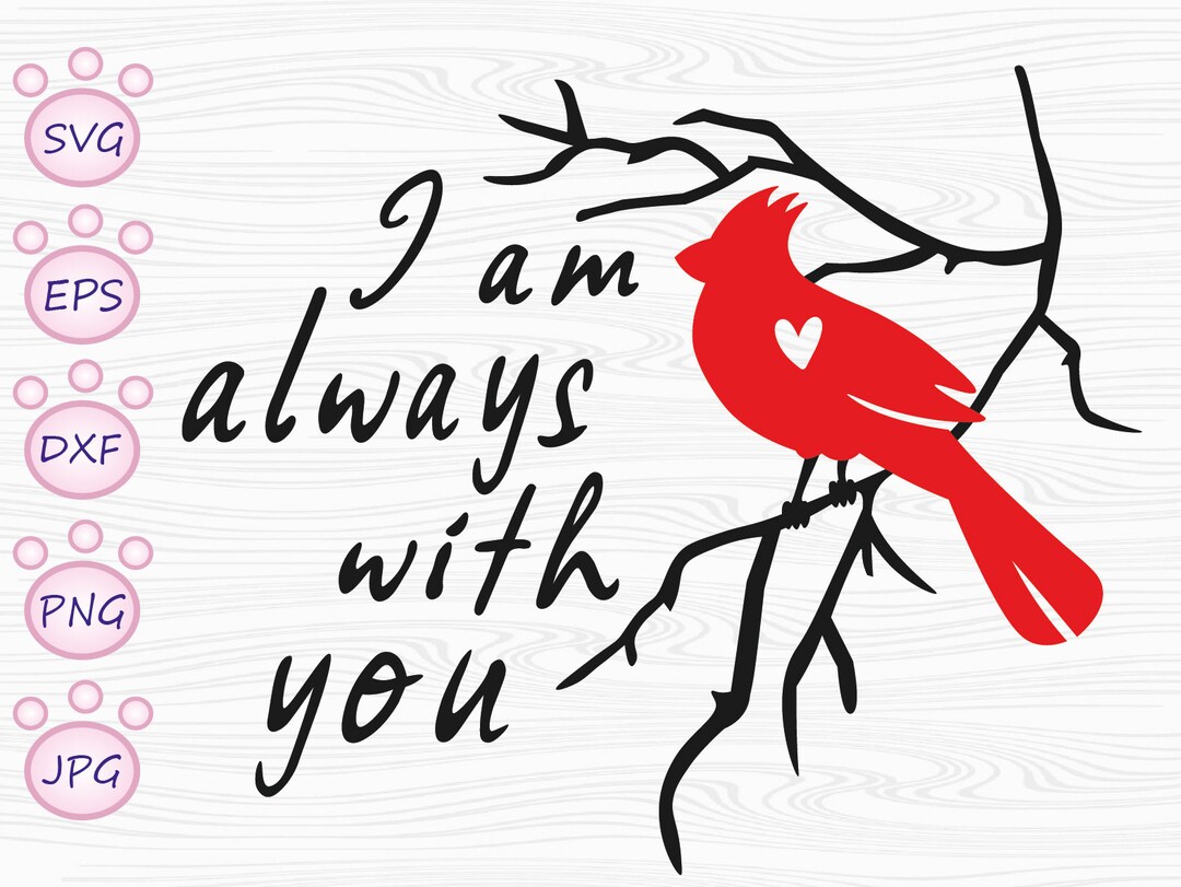 Bird Cardinal Svg - Etsy