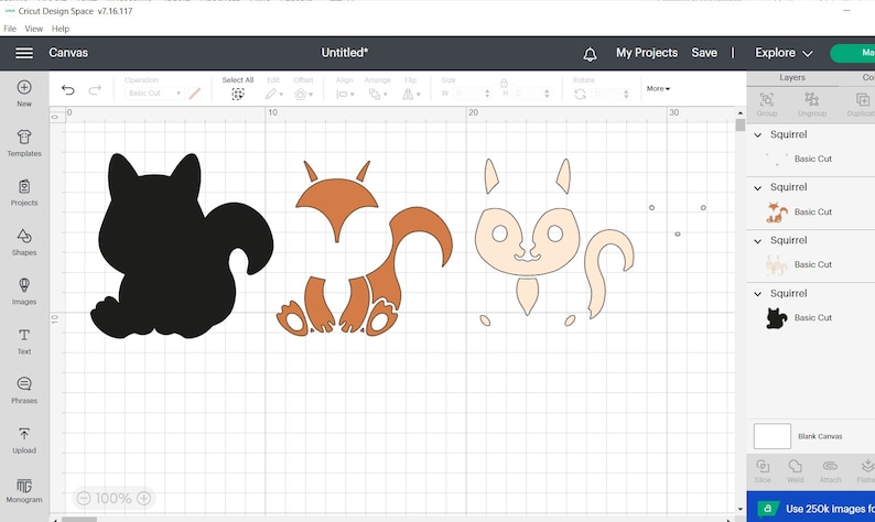 Cute Squirrel SVG - Etsy
