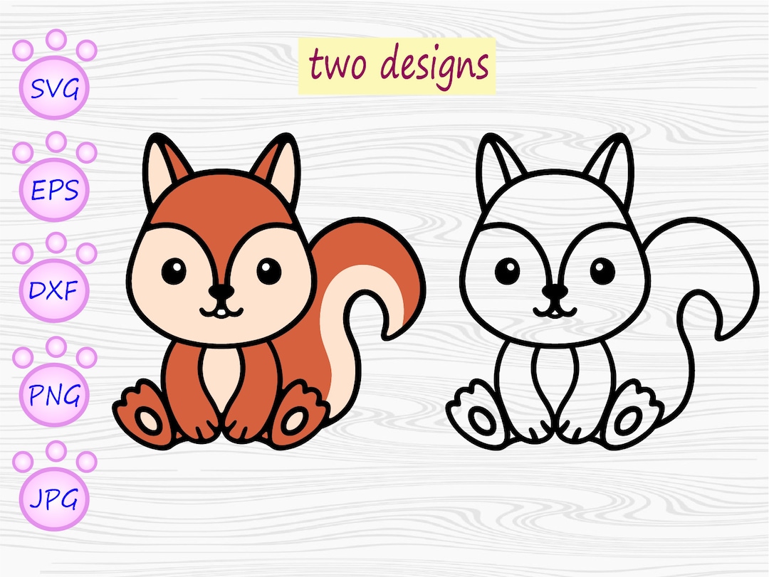 Cute Squirrel SVG - Etsy