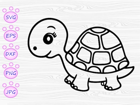 Baby Turtle SVG - Etsy