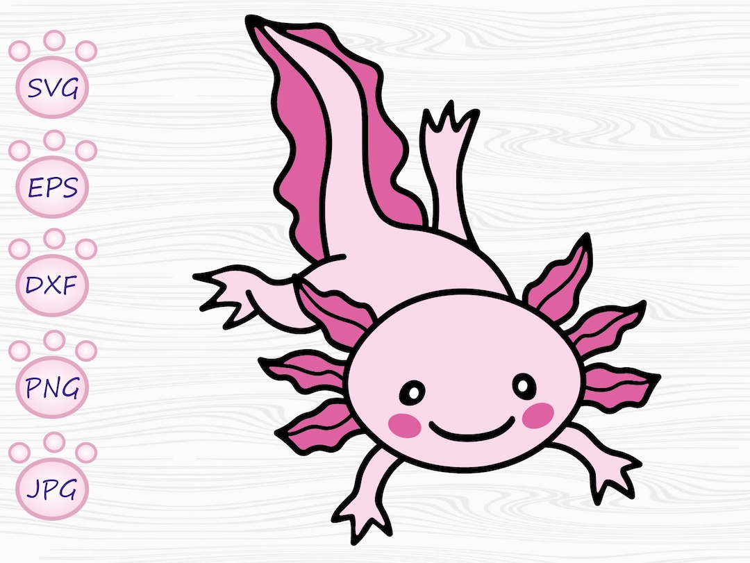 Cute Axolotl SVG - Etsy