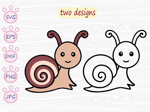 Cute Snail SVG - Etsy
