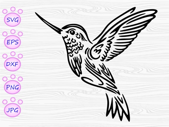 Hummingbird SVG Bird SVG - Etsy
