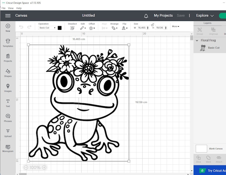 Floral Frog SVG - Etsy