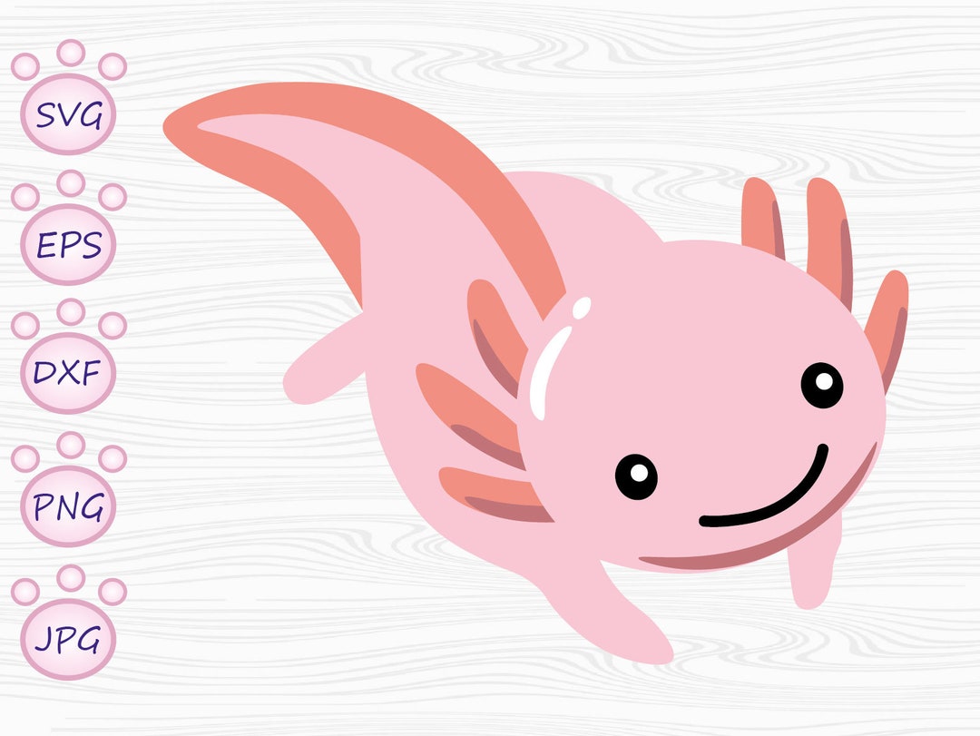 Cute Axolotl SVG - Etsy