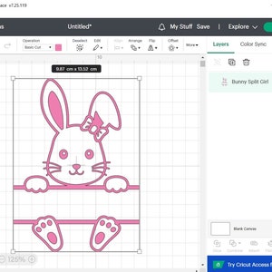 Bunny SVG, Bunny Split Svg, Easter Bunny PNG - Etsy