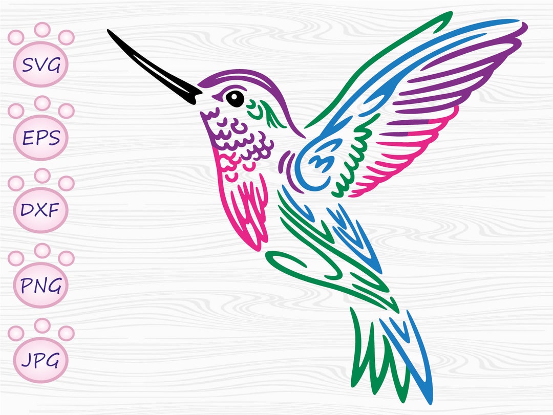 Hummingbird SVG, Bird SVG - Etsy