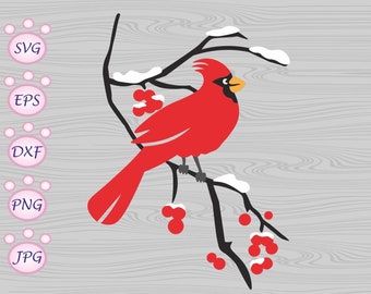 Cardinal Svg Cardinal Bird Svgbird Svg Cardinal Layered - Etsy