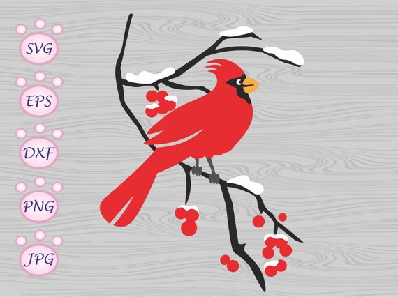 Bird Cardinal Svg - Etsy