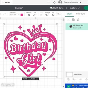 Pink Girl Birthday Party SVG, DXF, PNG, Jpeg - Etsy